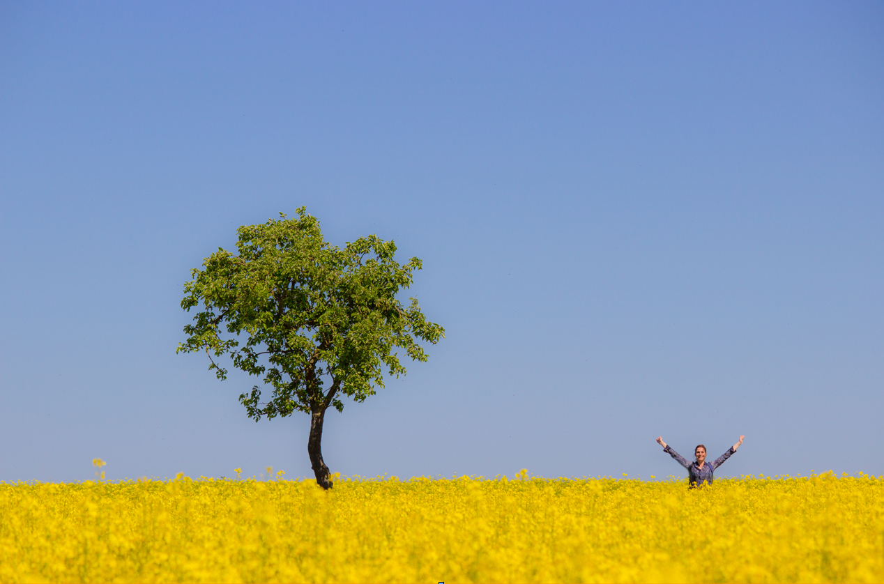Exposities | Mark Heister Fotografie